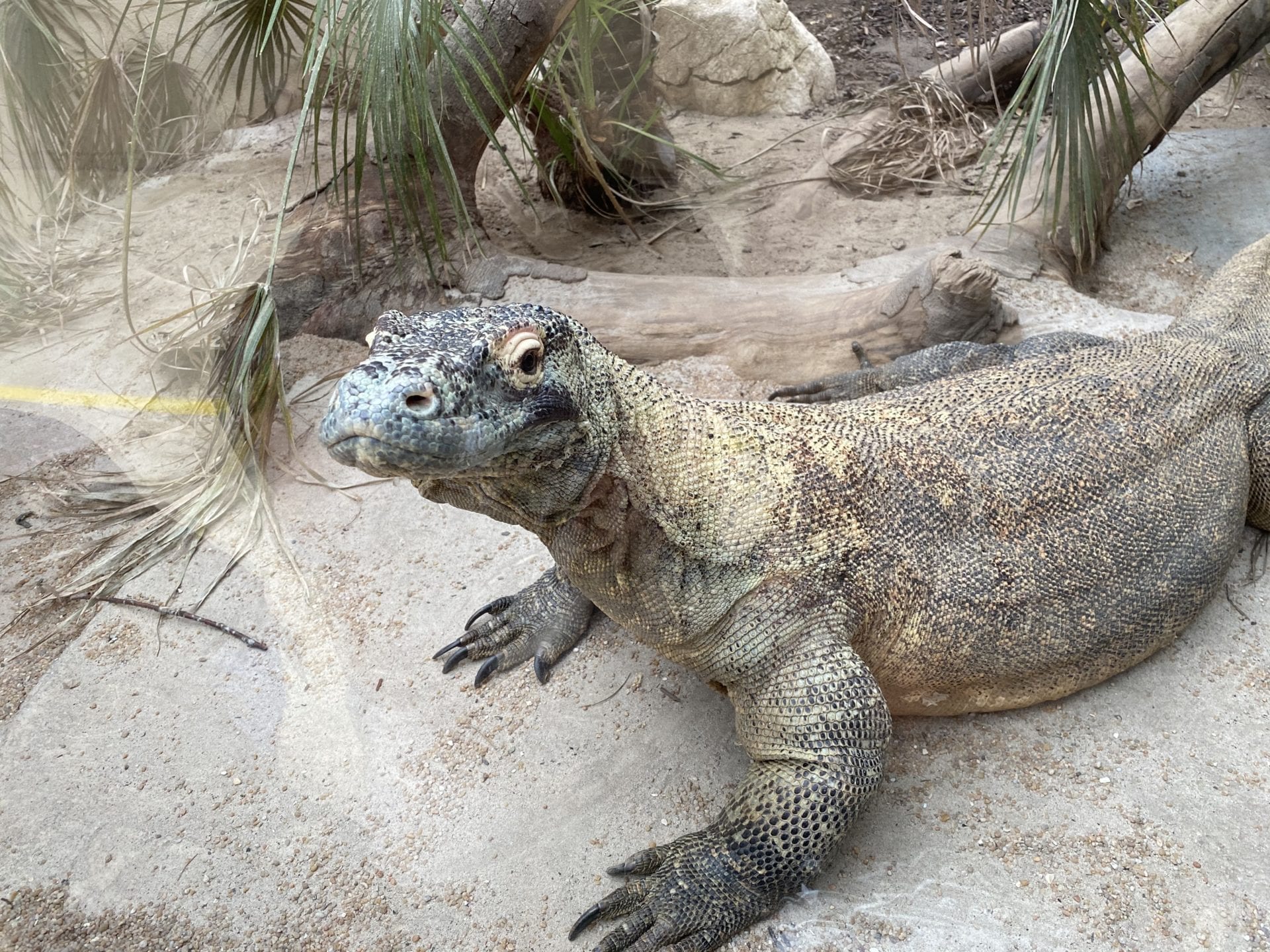 🆕 Tropiquarium de Servion | Week-end famille